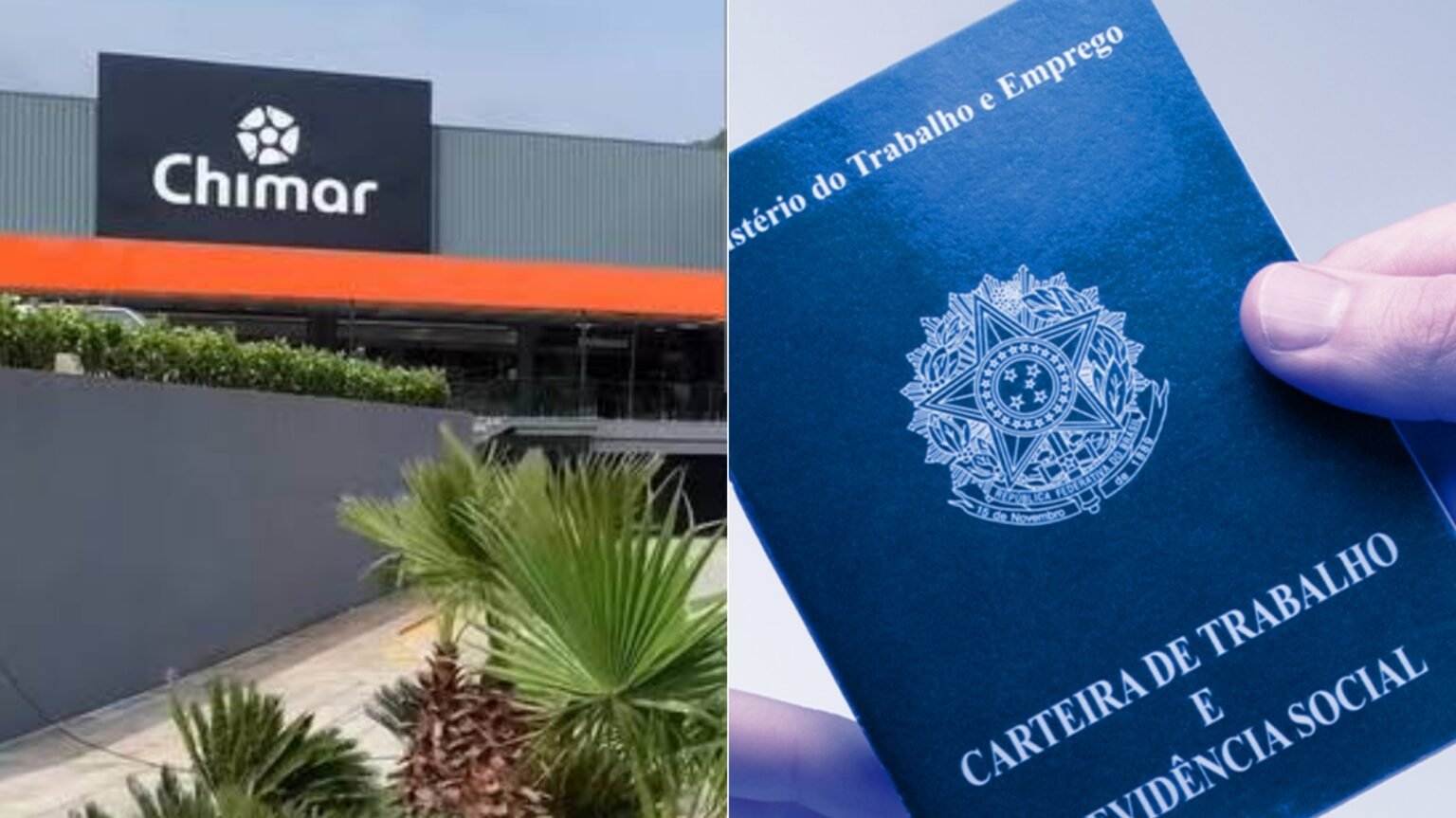Rede de Supermercados Chimar procura pessoas para trabalhar em nova ...